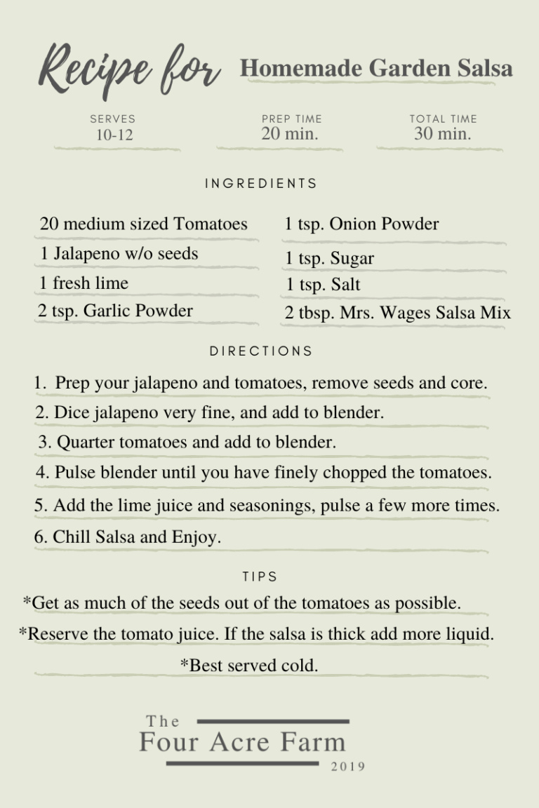 Salsa Recipe Recipes Easy Salsa Recipe The Four Acre Farm